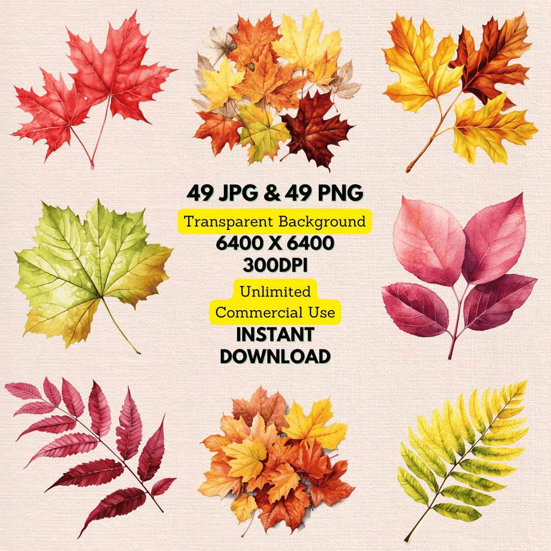 Autumn Leaves Watercolor Clipart PNG JPG Bundle Instant Digital ...