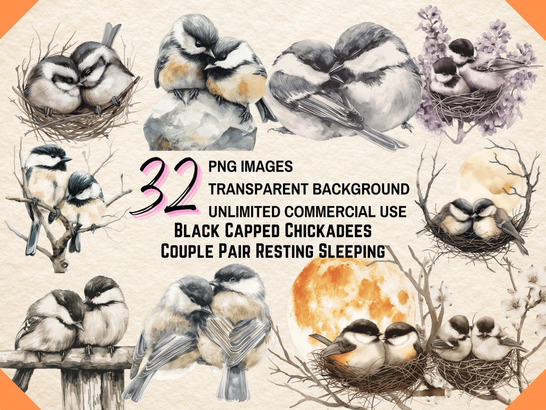 Watercolor Black Capped Chickadees Couple Pair Resting Sleeping Clipart ...