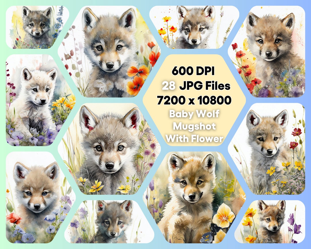 Wolf Cub Watercolor Clipart Bundle Woodland Animal Instant Download ...