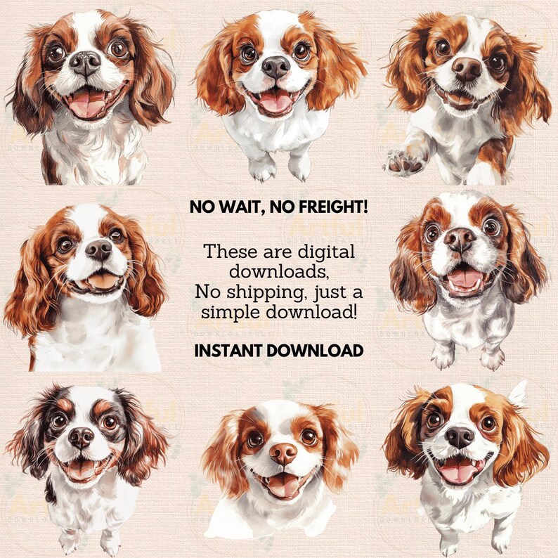 Adorable Cavalier King Charles Spaniel Looking up Watercolor Clipart ...