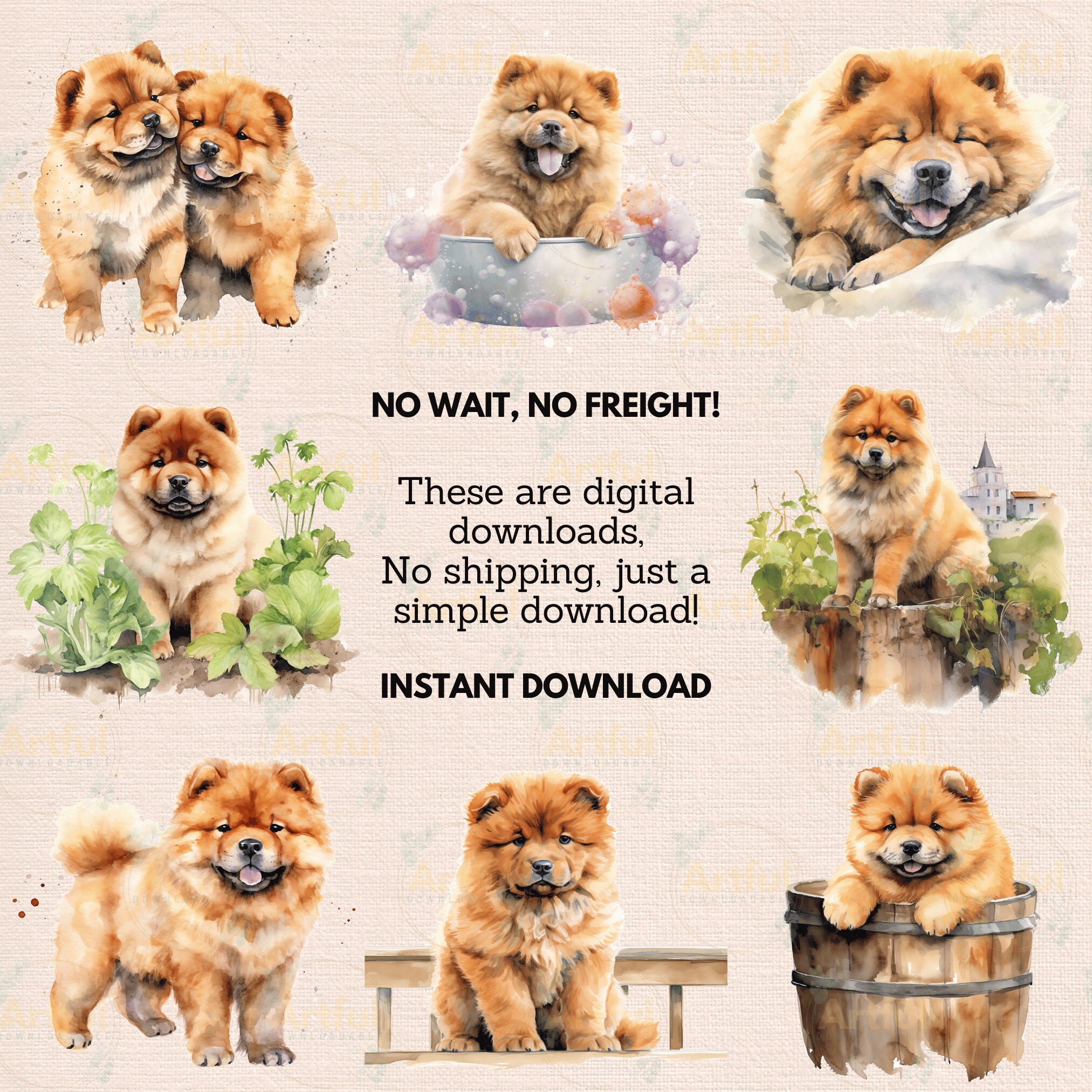 Chow Chow Watercolor Clipart PNG JPG Bundle Instant Digital Download ...