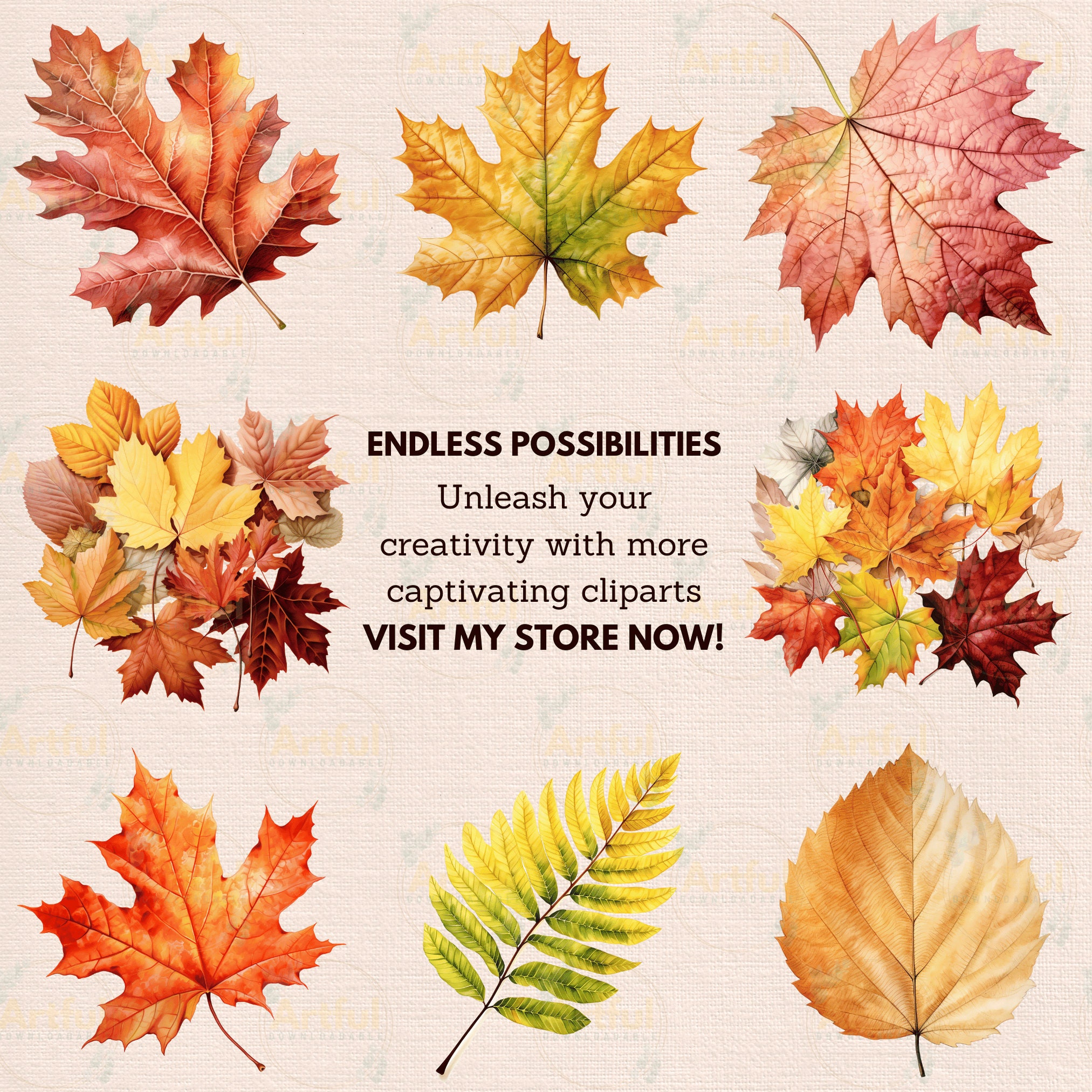 Autumn Leaves Watercolor Clipart PNG JPG Bundle Instant - Etsy