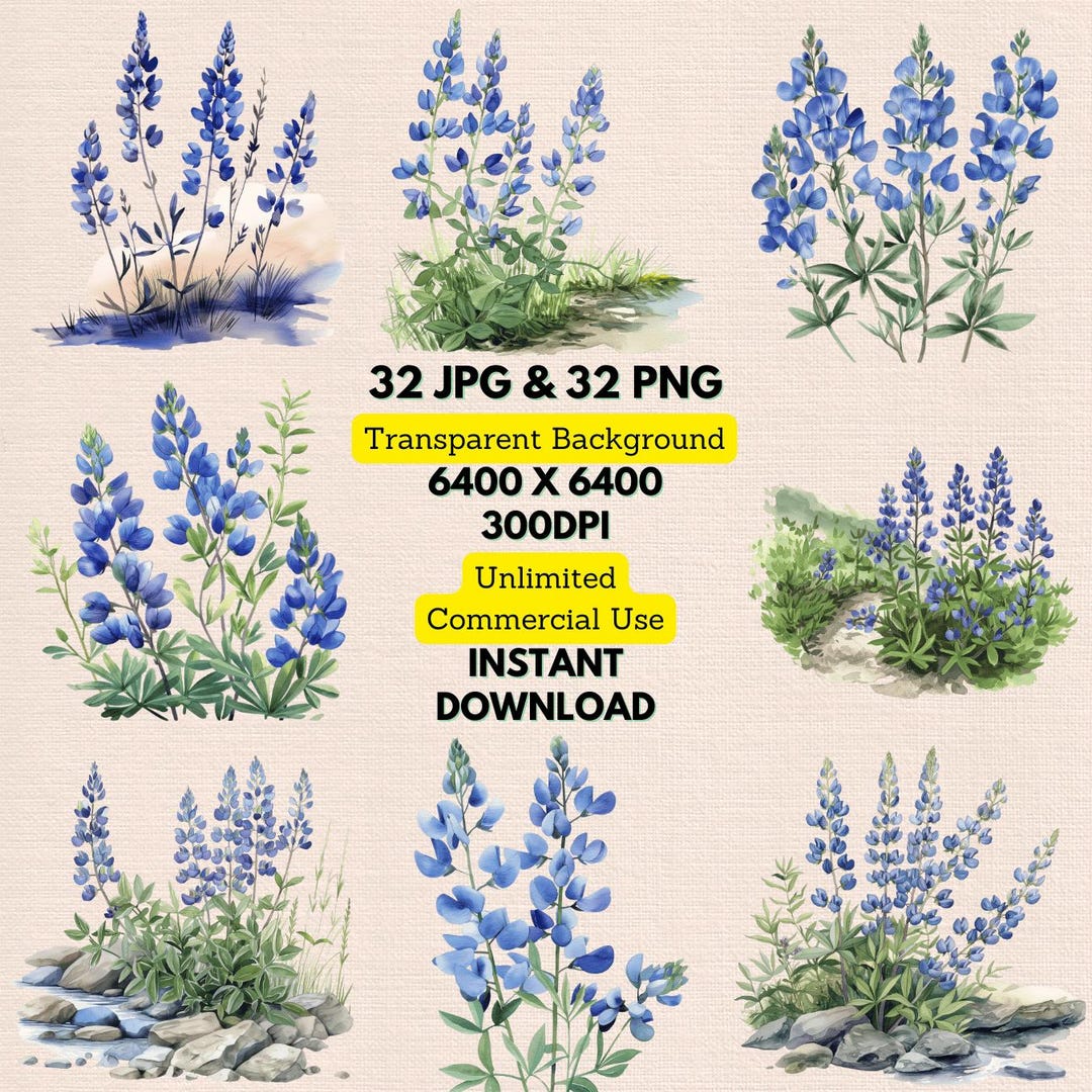 Watercolor Blue False Indigo Baptisia Australis Clipart PNG Instant ...