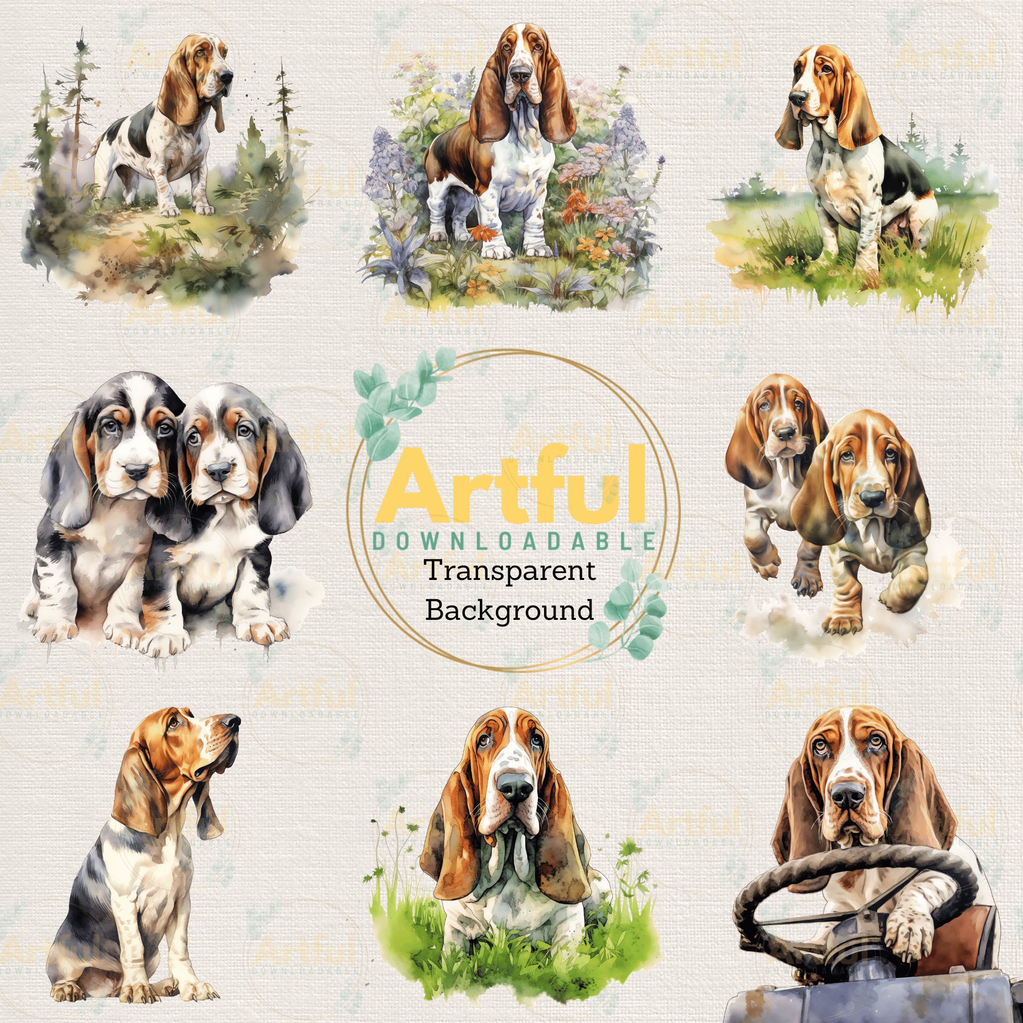 Basset Hound Watercolor Clipart PNG JPG Bundle Instant Digital Download ...