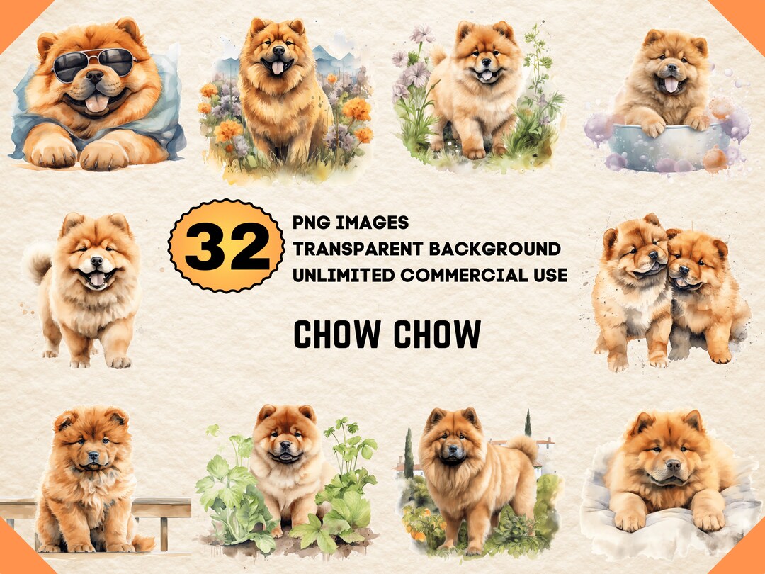 Chow Chow Watercolor Clipart PNG JPG Bundle Instant Digital Download ...