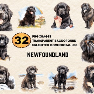 Newfoundland Watercolor Clipart PNG JPG Bundle Instant Digital - Etsy