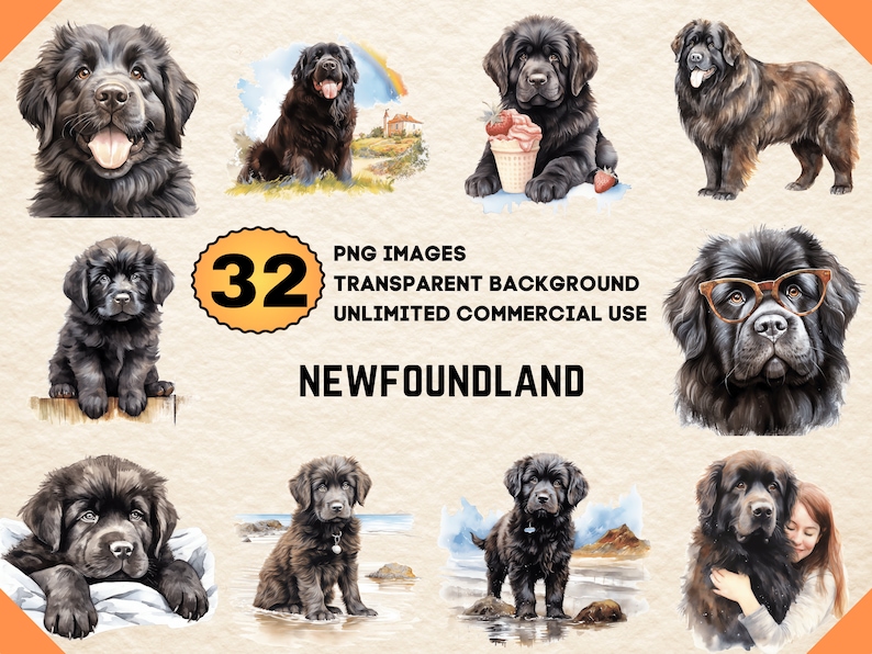 Newfoundland Watercolor Clipart PNG JPG Bundle Instant Digital - Etsy