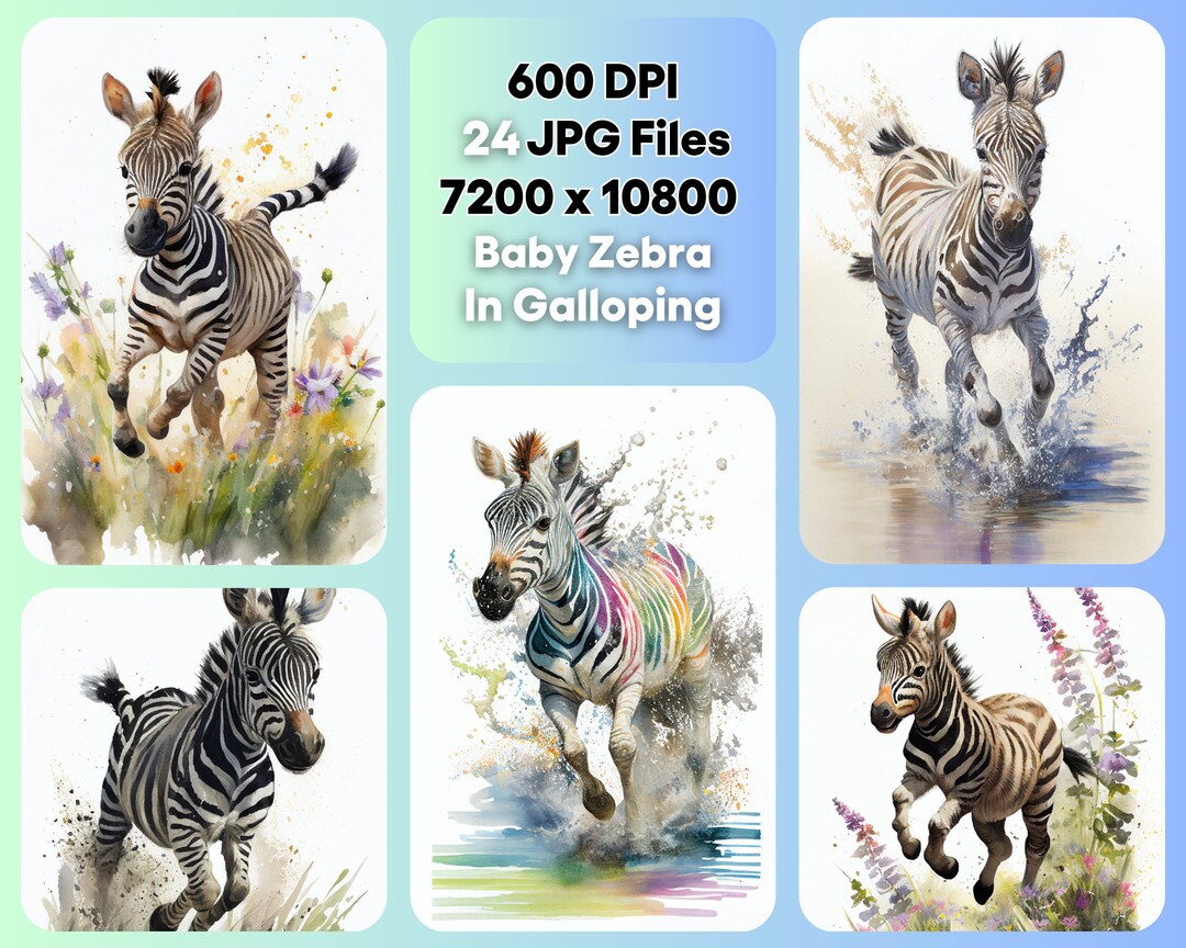 Baby Zebra in Galloping Watercolor Clipart Bundle, Cute Animal JPG ...