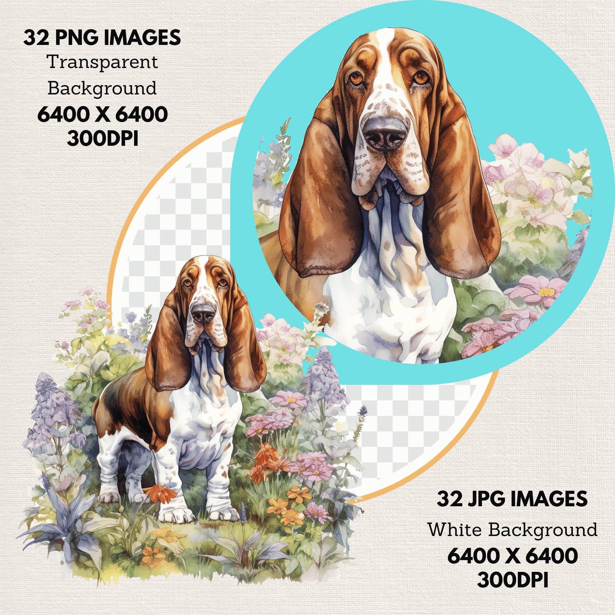 Basset Hound Watercolor Clipart PNG JPG Bundle Instant Digital Download ...