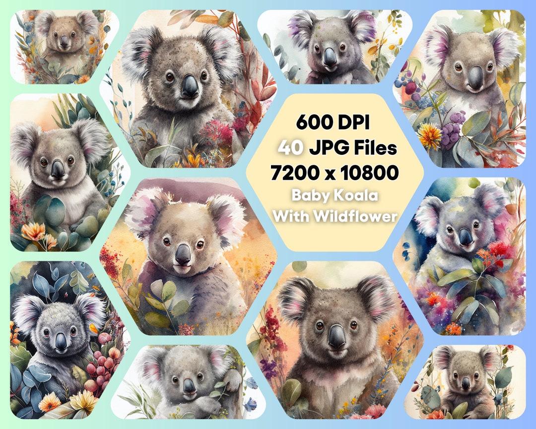 Baby Koala in Wildflower Watercolor Clipart Bundle, Cute Animal JPG ...