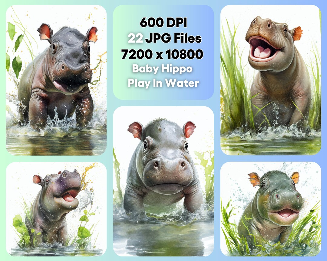 Baby Hippo in Water Watercolor Clipart Bundle, Cute Animal JPG, Instant ...