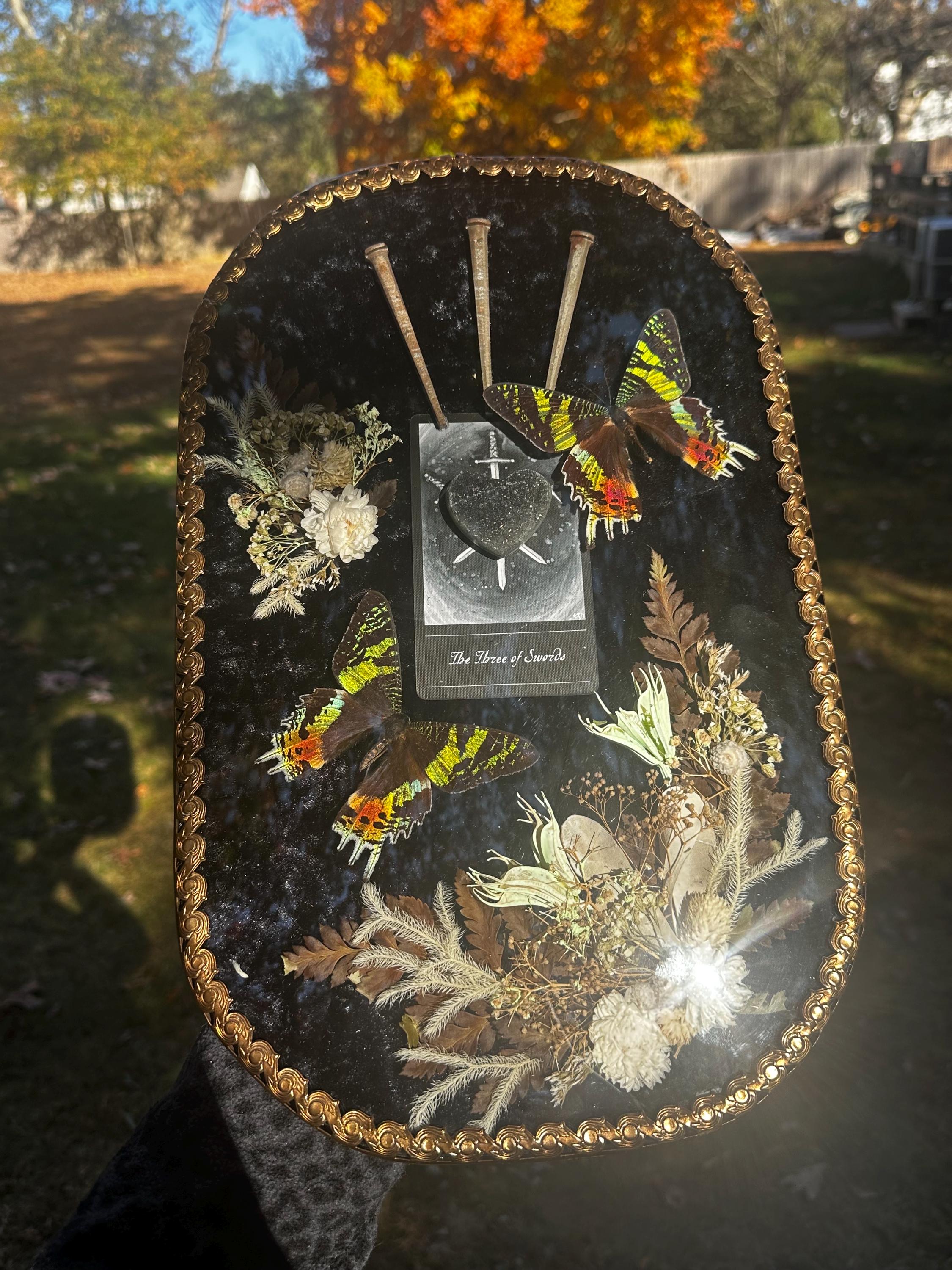 Sunset Moths, Three of Swords Tarot, Coffin Nails in a Vintage Frame - Etsy