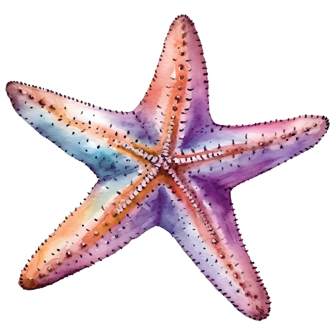 Aquarell Seestern, Clipart, Seestern Aquarell, Seestern Clipart PNG ...