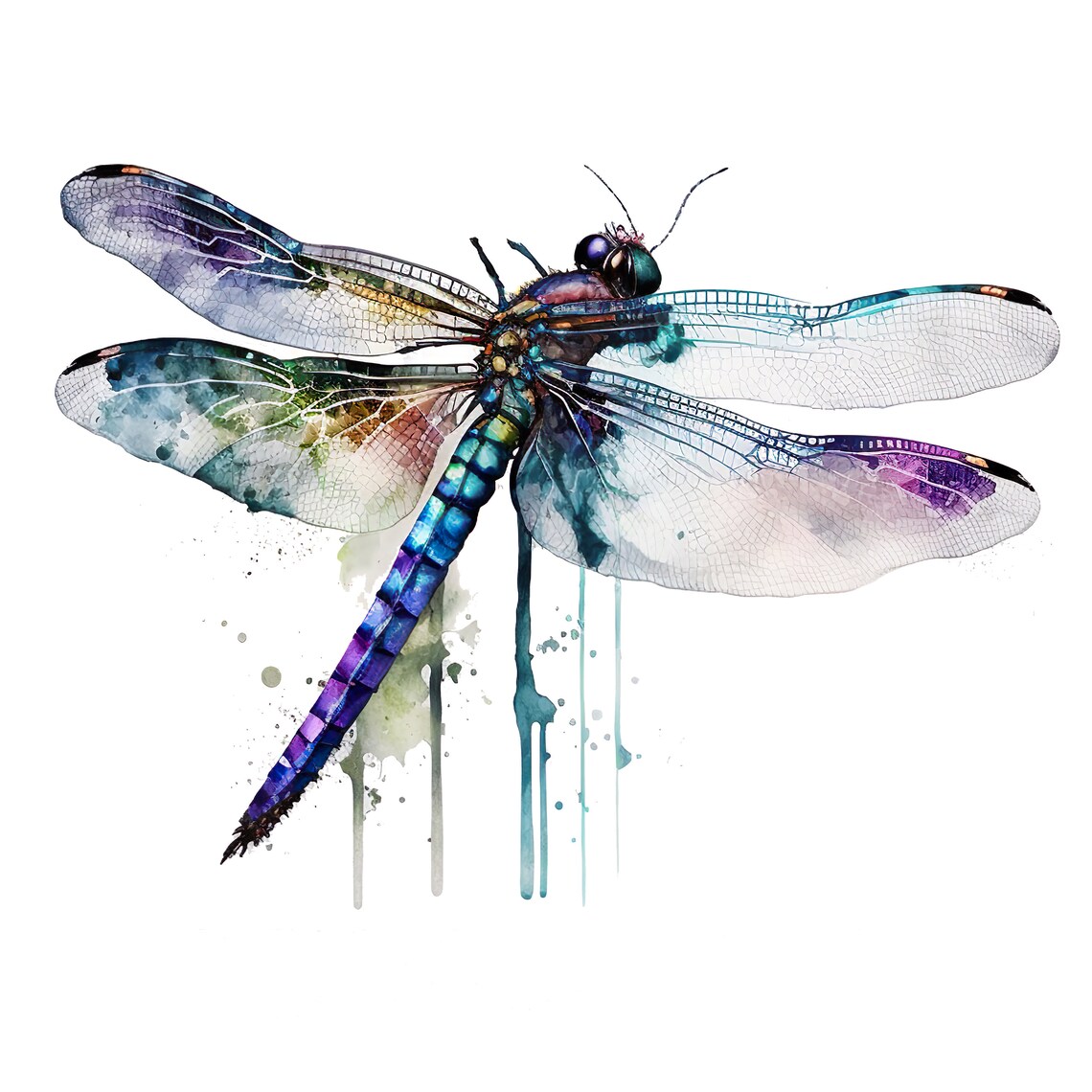 Dragonfly Watercolor, Digital Downloads, Dragonfly PNG, Dragonfly ...