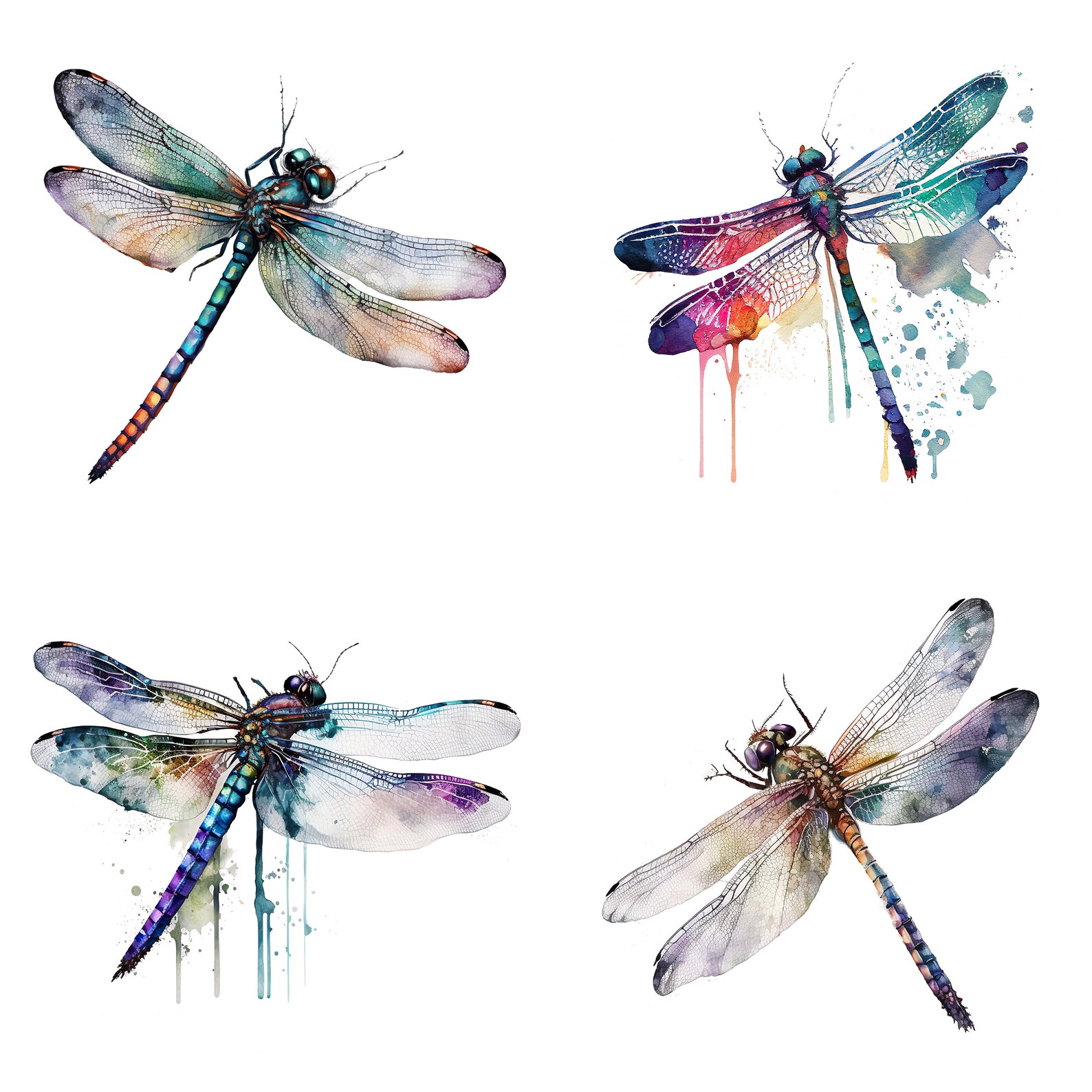 Dragonfly Watercolor, Digital Downloads, Dragonfly PNG, Dragonfly Clipart, Dragonfly Wall Art ...