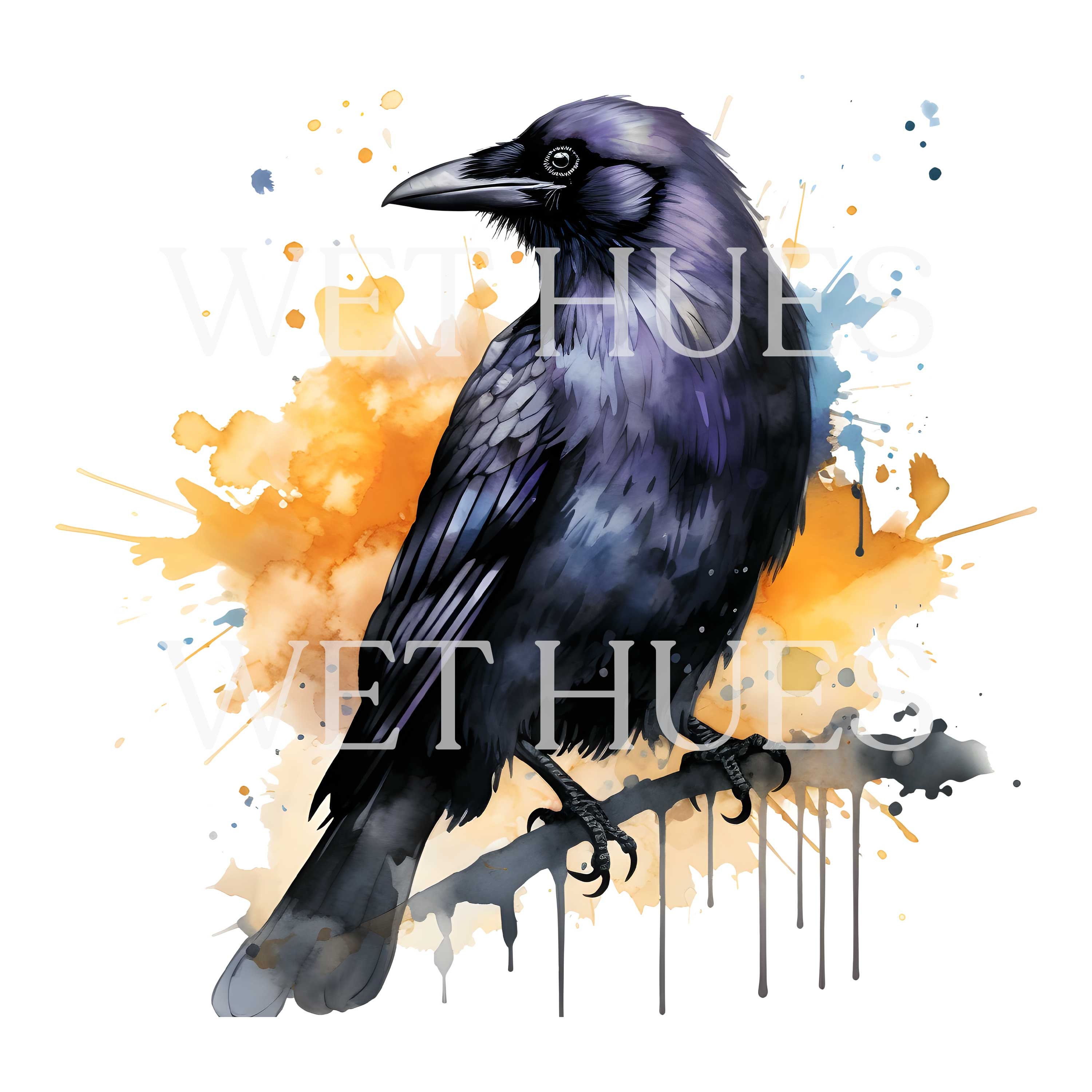 Watercolor Crow Clipart Crow Watercolor Crow Clipart PNG - Etsy