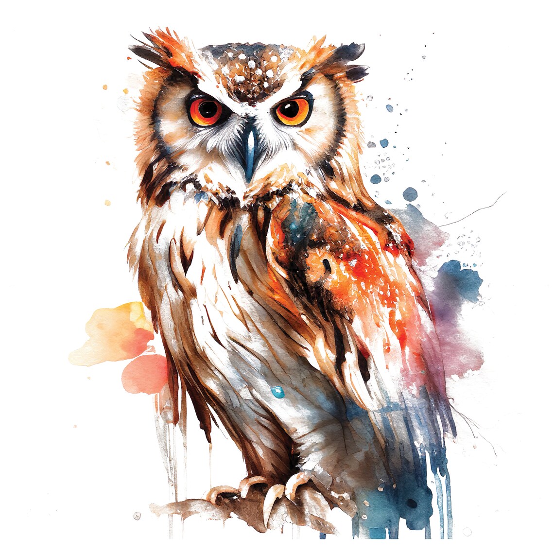 Watercolor Owl Clipart Set – Hand-painted Woodland Bird PNG for ...