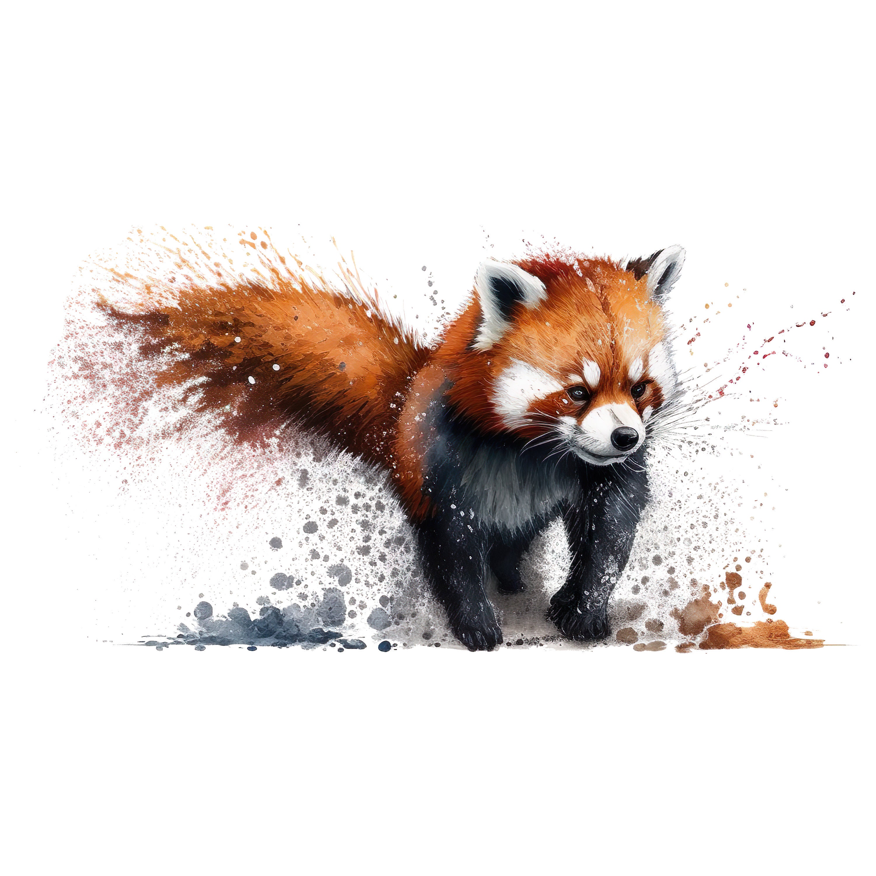 Red Panda Clipart 3 High Quality Jpgs Digital Planner, Junk Journaling ...