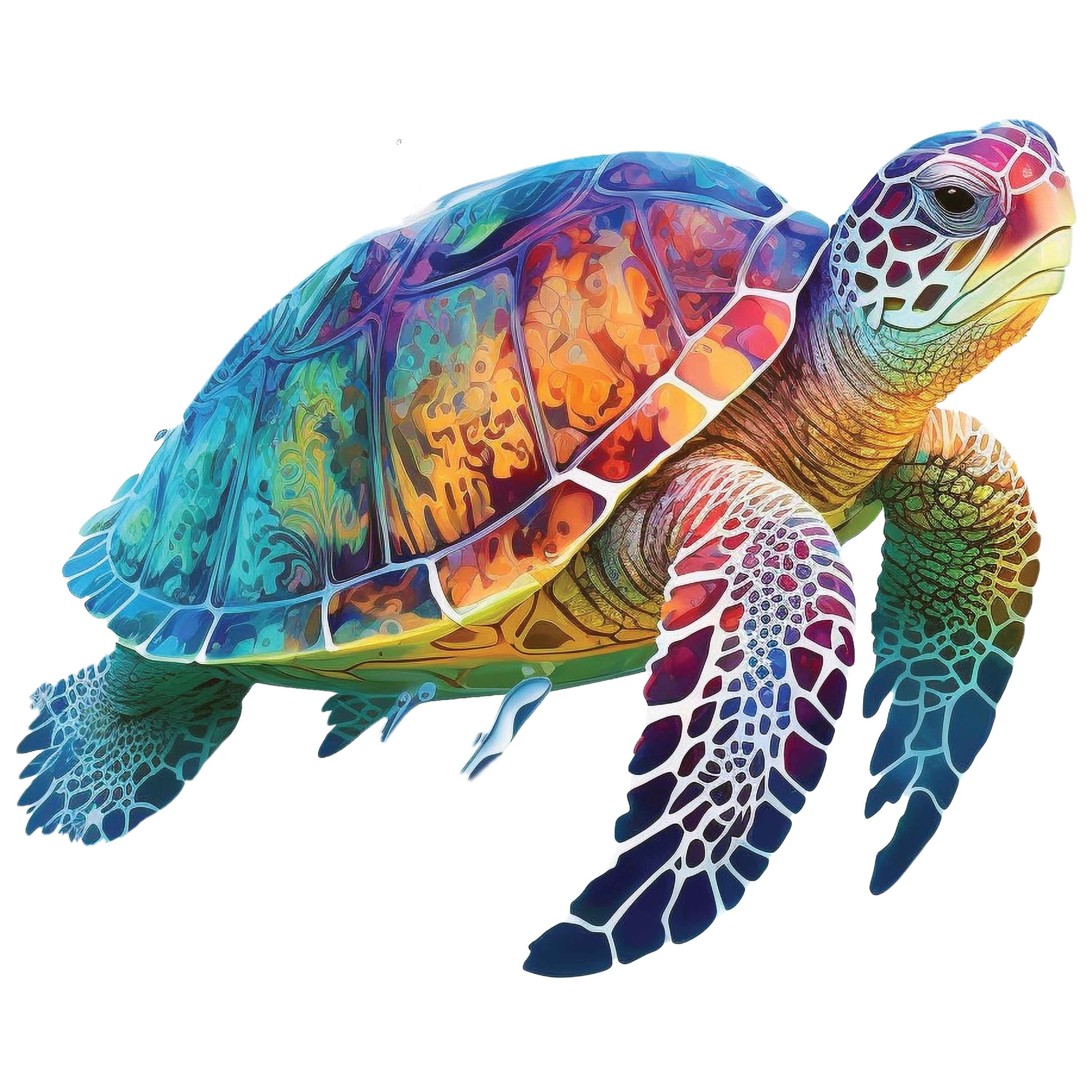Sea Turtles Drawings Colorful