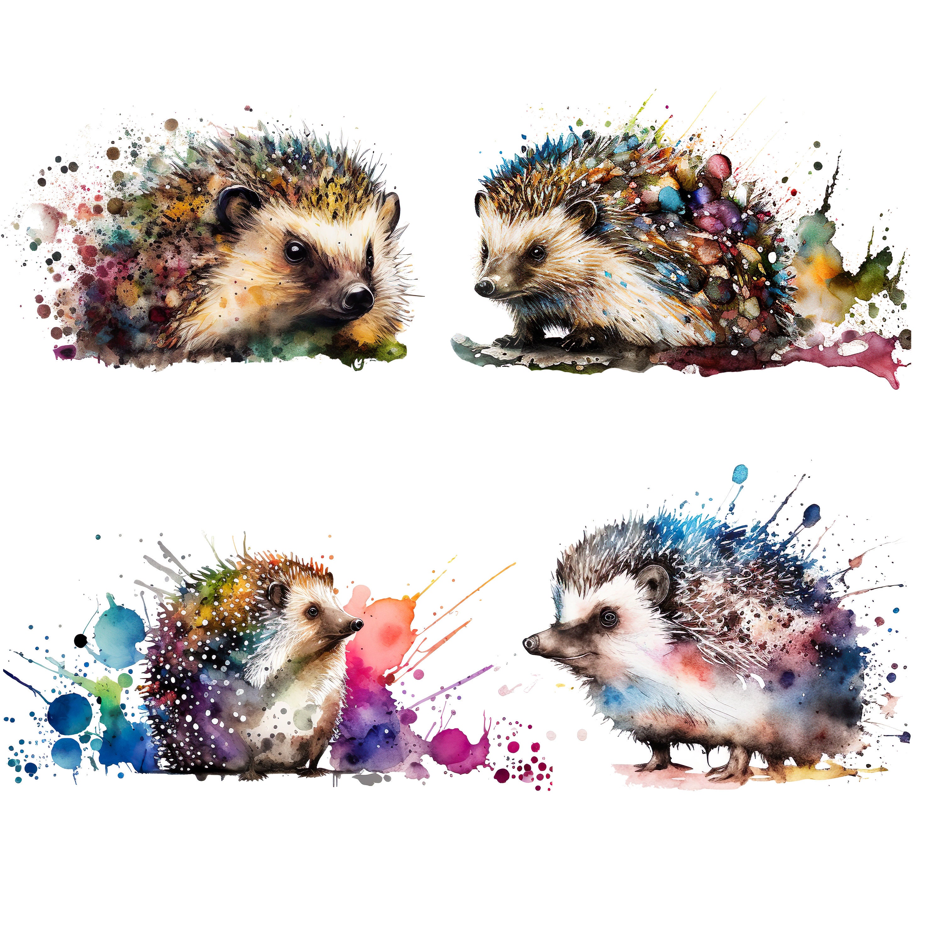 Watercolor Hedgehog Clipart Set – 4 Pngs Hand-painted Woodland Animal ...