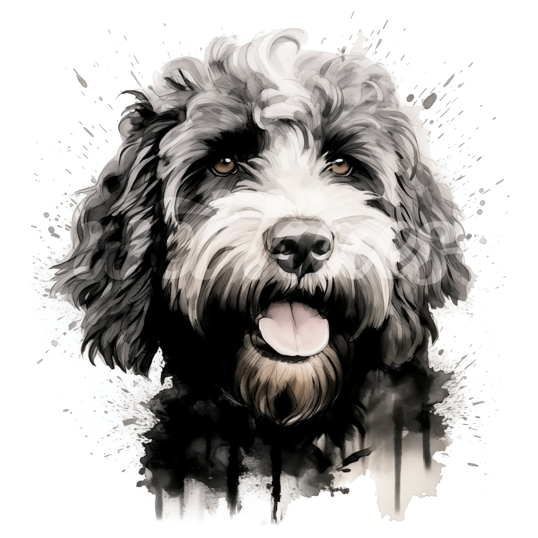 Watercolor Black and White Labradoodle Clipart: 4 Premium JPG Files ...