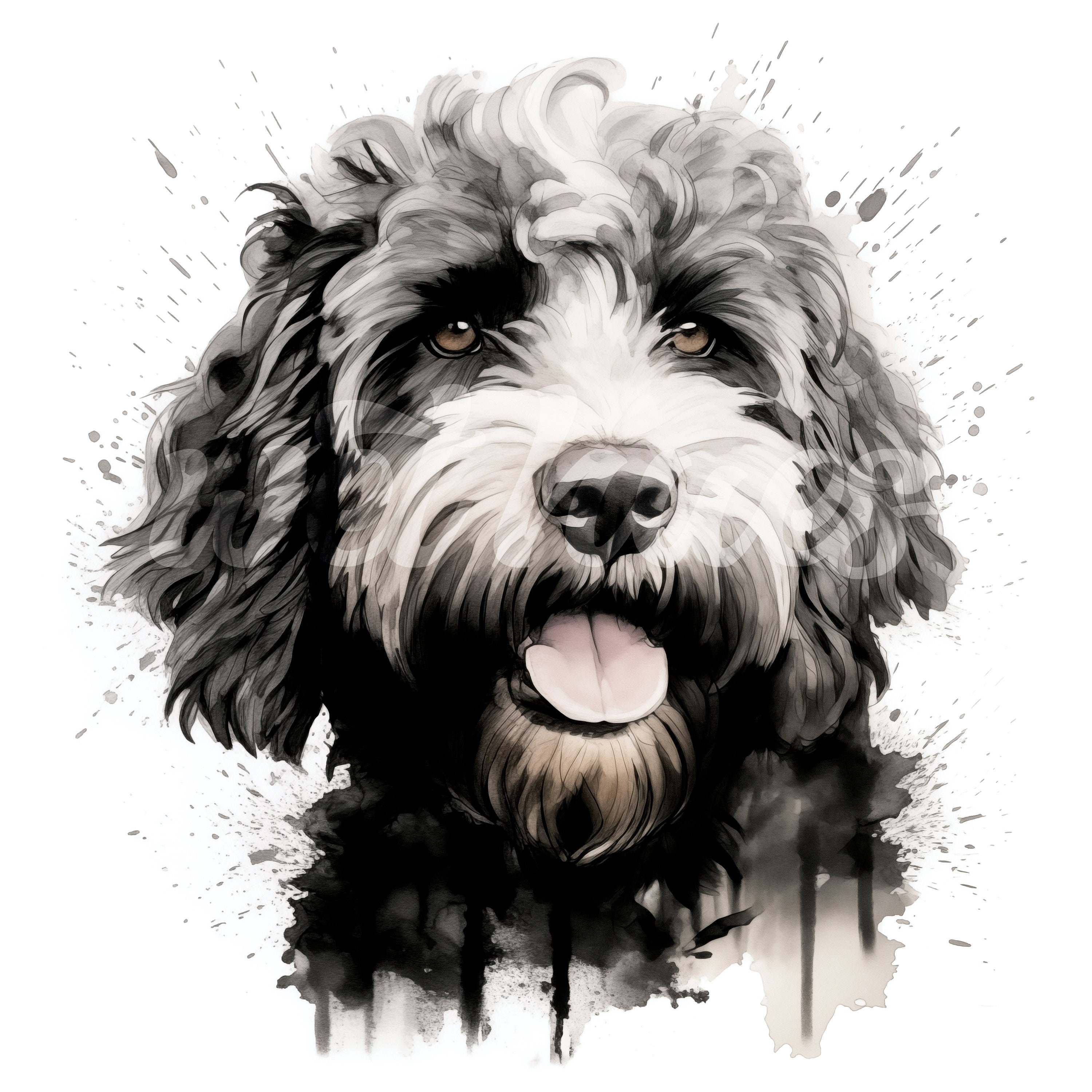 Watercolor Black and White Labradoodle Clipart: 4 Premium JPG Files ...