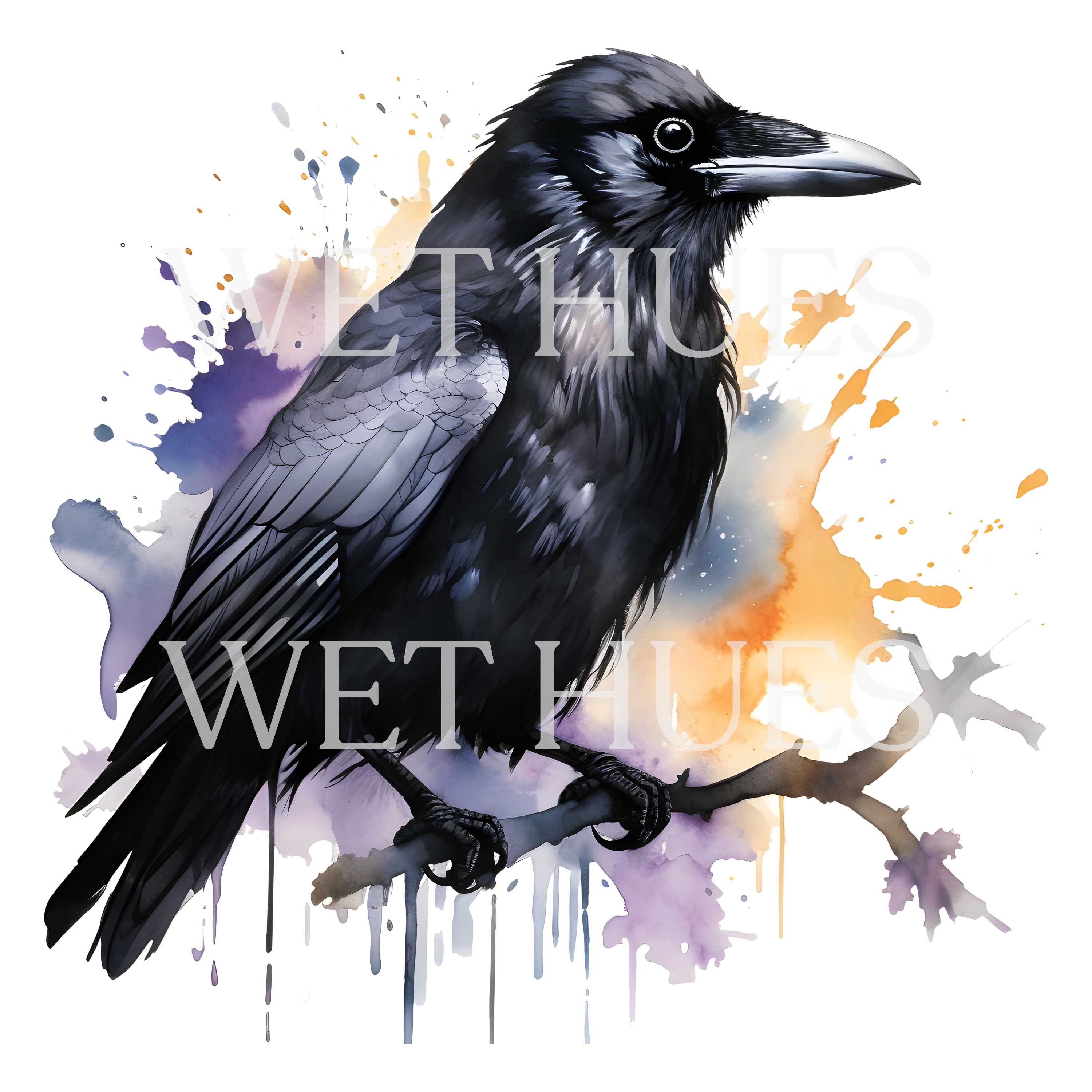 Watercolor Crow Clipart Crow Watercolor Crow Clipart PNG - Etsy