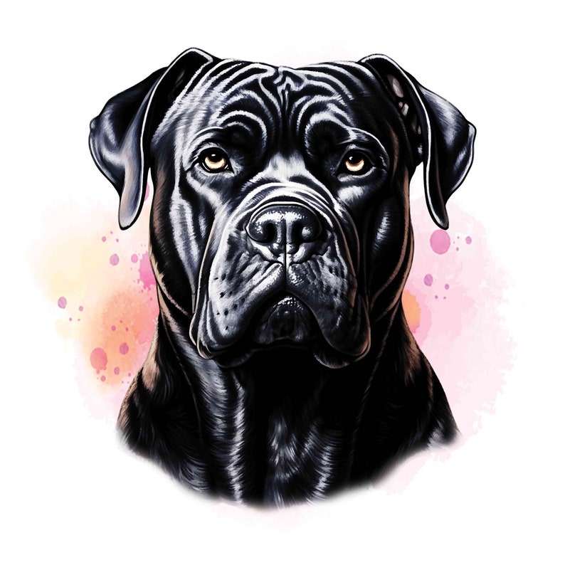 Cane Corso Dog Watercolor,cane Corso Dog Clipart, Cane Corso Dog PNG ...
