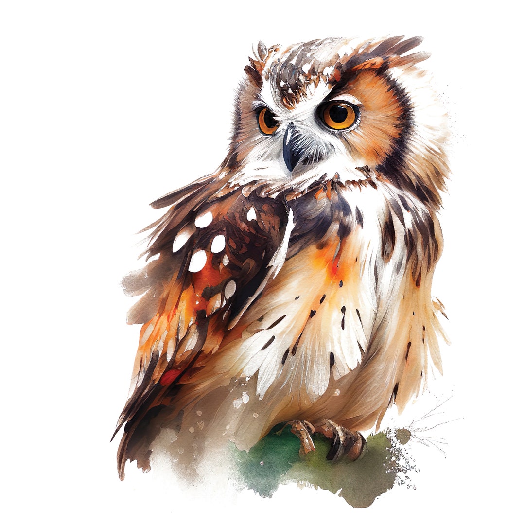 Watercolor Owl Clipart Set – Hand-painted Woodland Bird PNG for ...