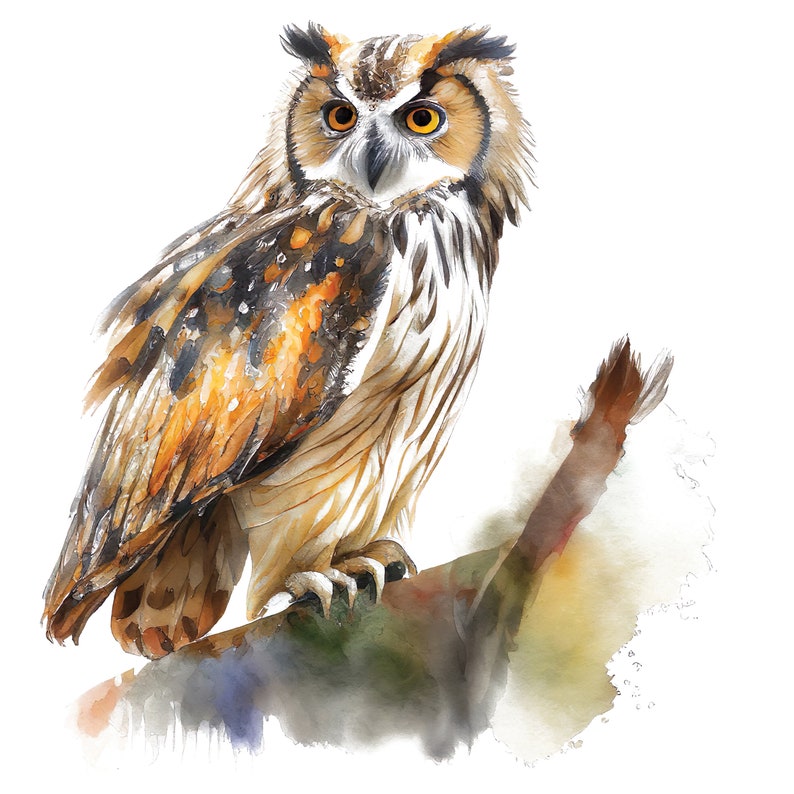 Watercolor Owl Clipart Set – Hand-painted Woodland Bird PNG for ...