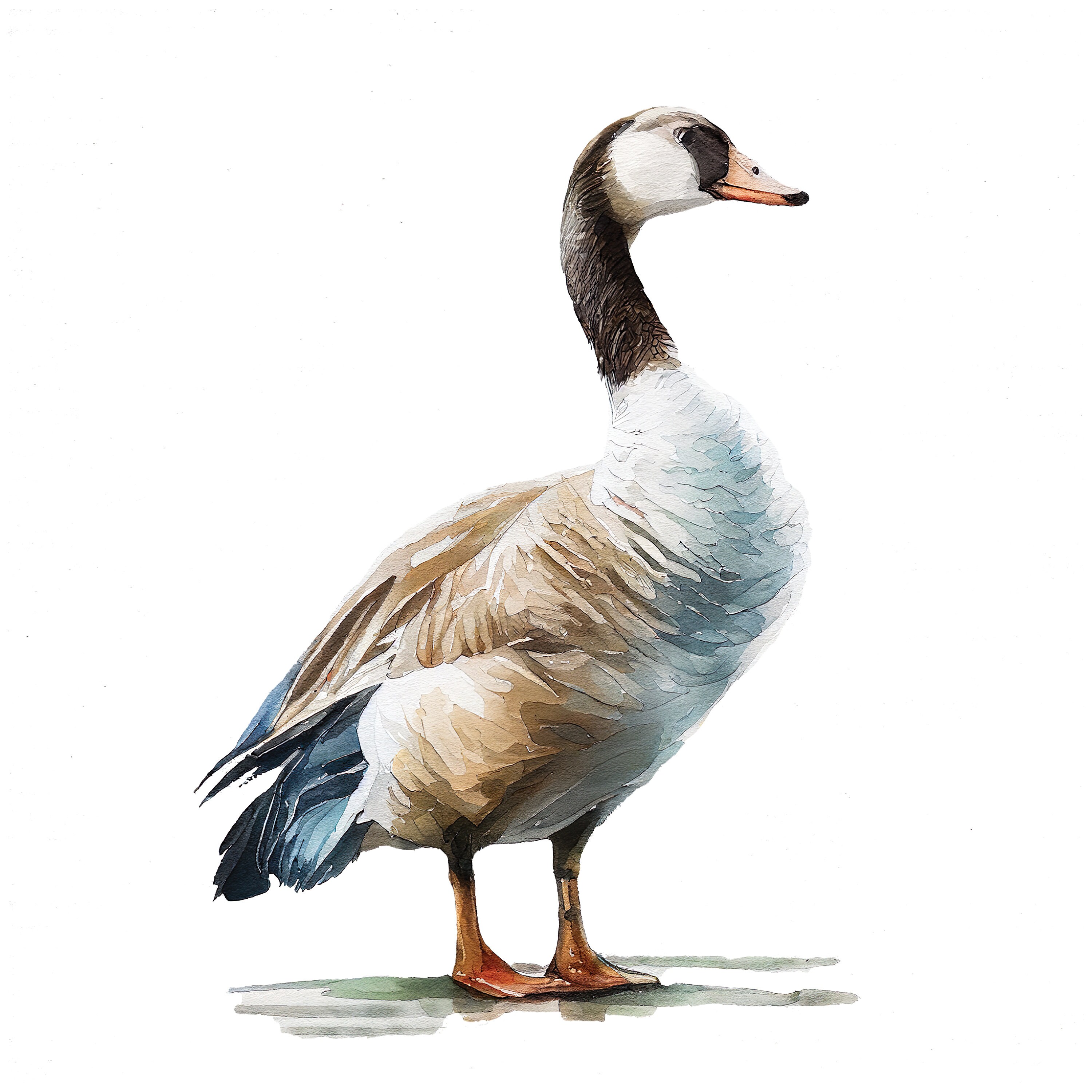 Goose Watercolor PNG Clipart, Geese Portrait PNG Watercolour, Instant ...