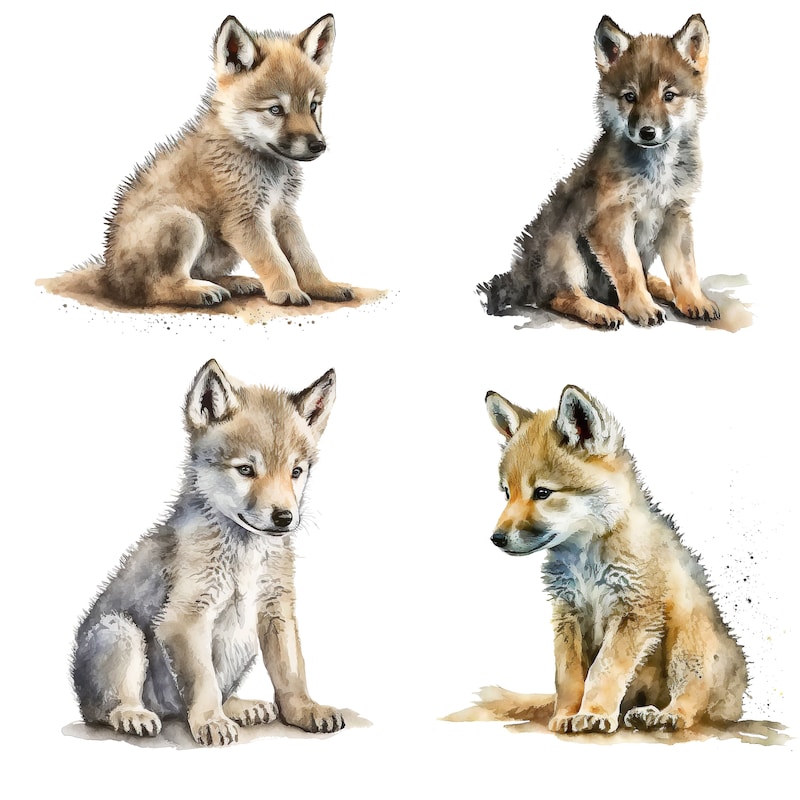 Baby Wolf Drawings - Etsy