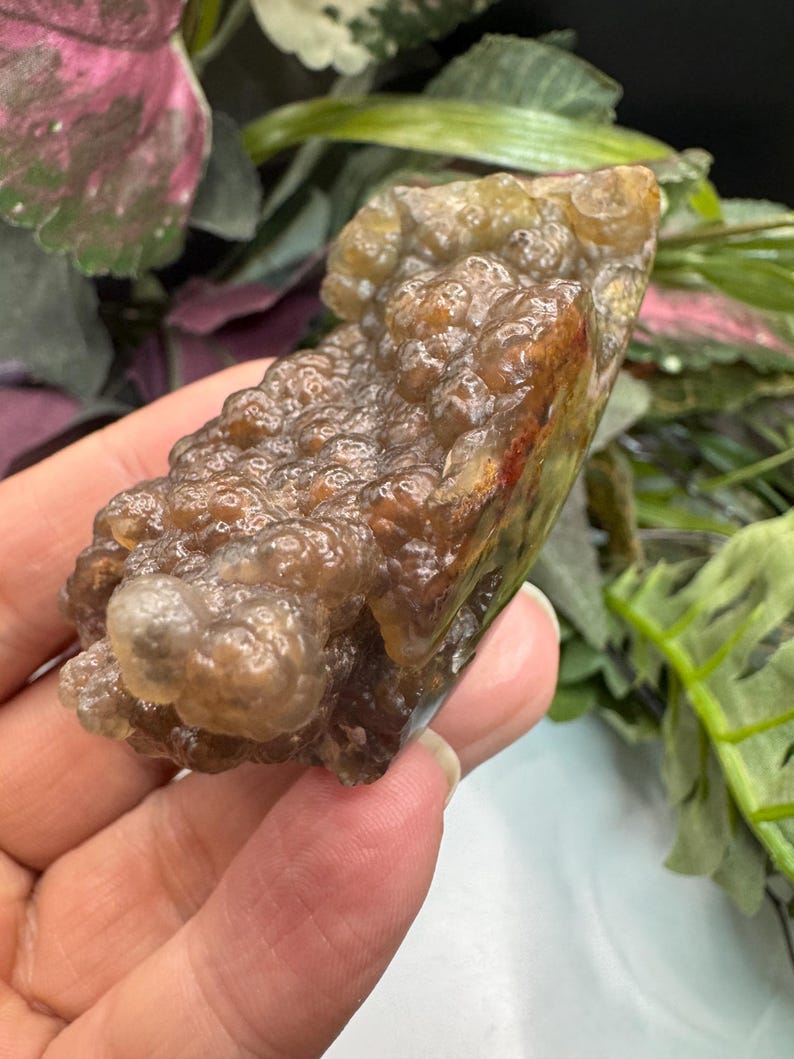Botryoidal Plume Moss Agate Specimen, Scenic Moss Agate Crystal, Grape ...