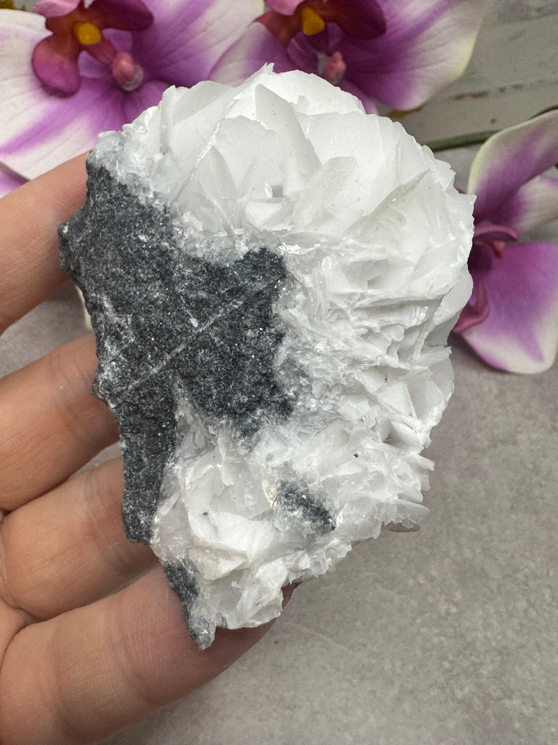 UV Reactive Rose Calcite Crystal Specimen: Angel Wing Calcite on Matrix ...