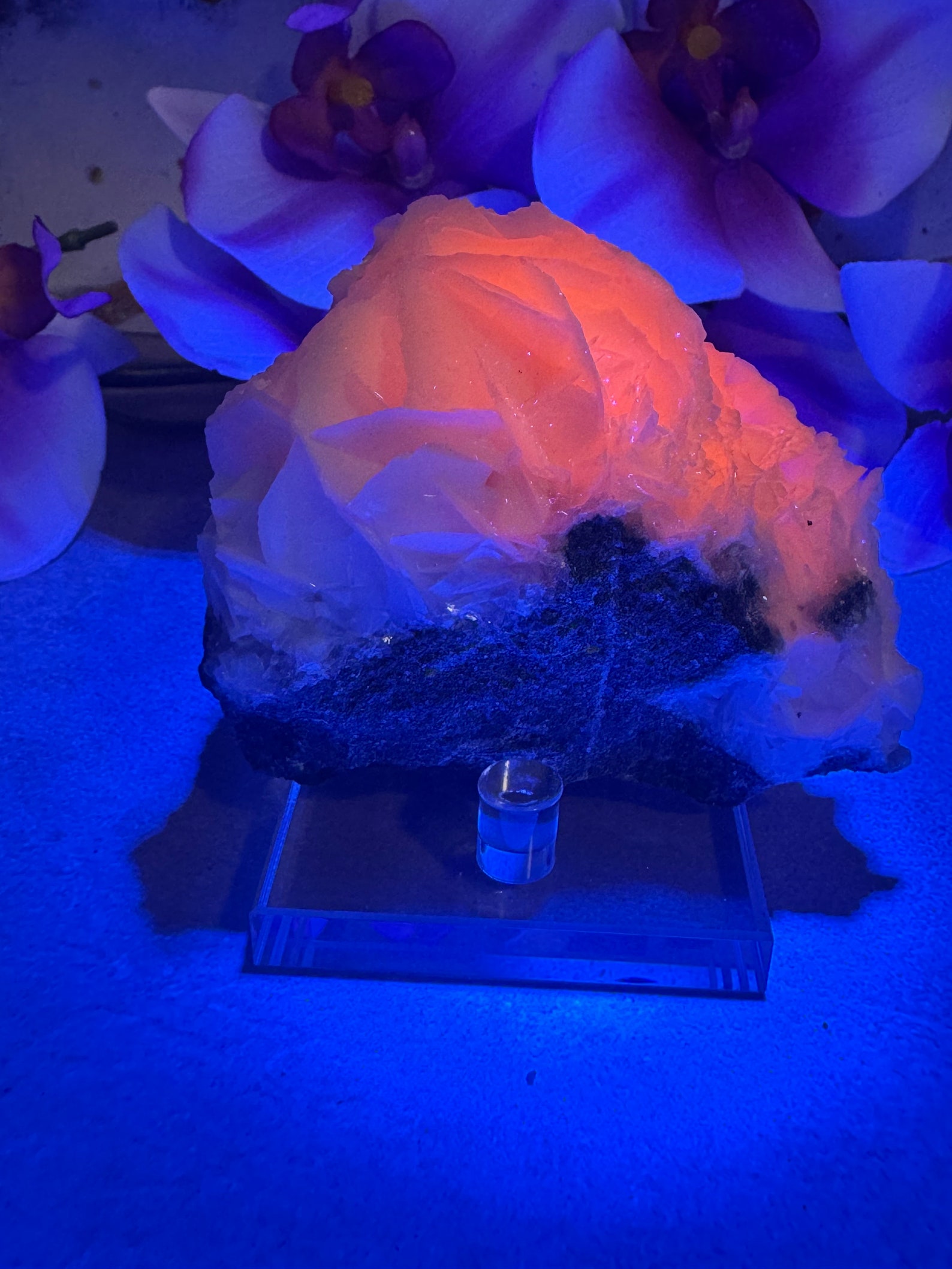 UV Reactive Rose Calcite Crystal Specimen: Angel Wing Calcite on Matrix ...