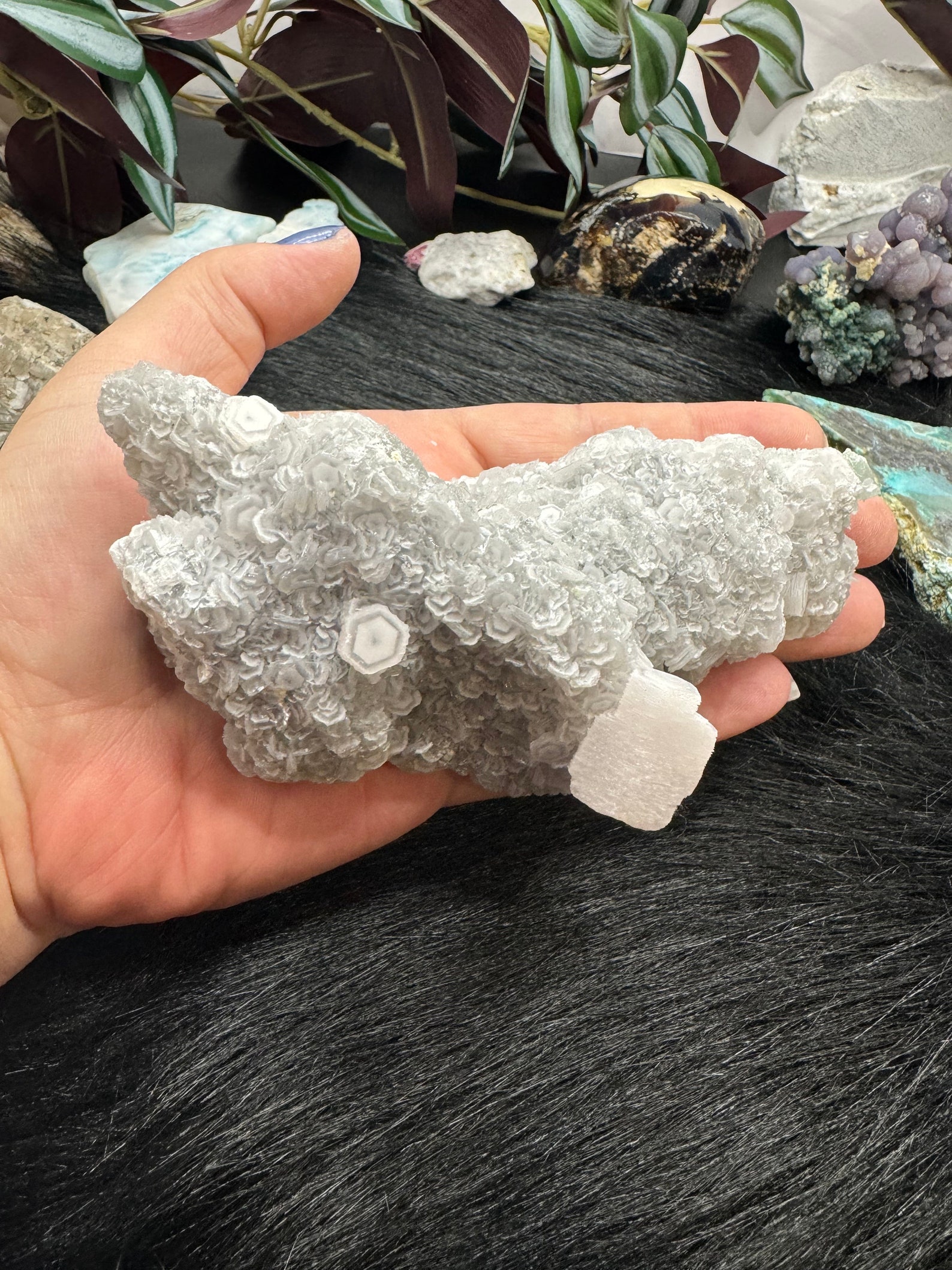 UV Reactive Coin Calcite Specimen: Fluorite and Quartz Crystal - Etsy