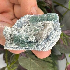 Blue Tourmaline Crystal on Matrix, Raw Tourmaline Specimens, Rough Blue ...