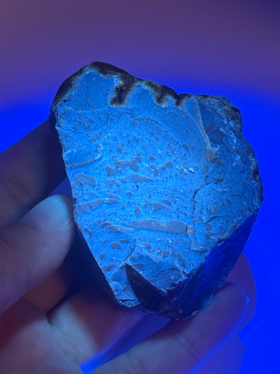Raw Blue Amber Specimen From Indonesia, Rare Blue Amber, Organic Amber ...