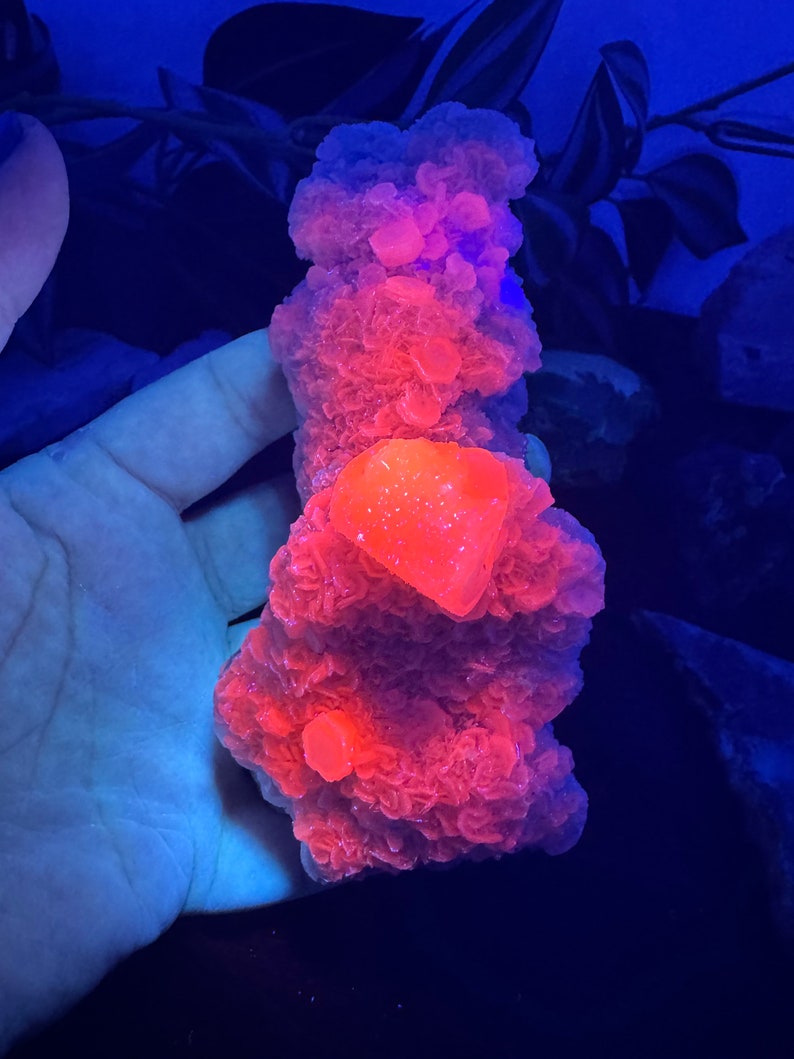 UV Reactive Coin Calcite Specimen: Fluorite and Quartz Crystal - Etsy