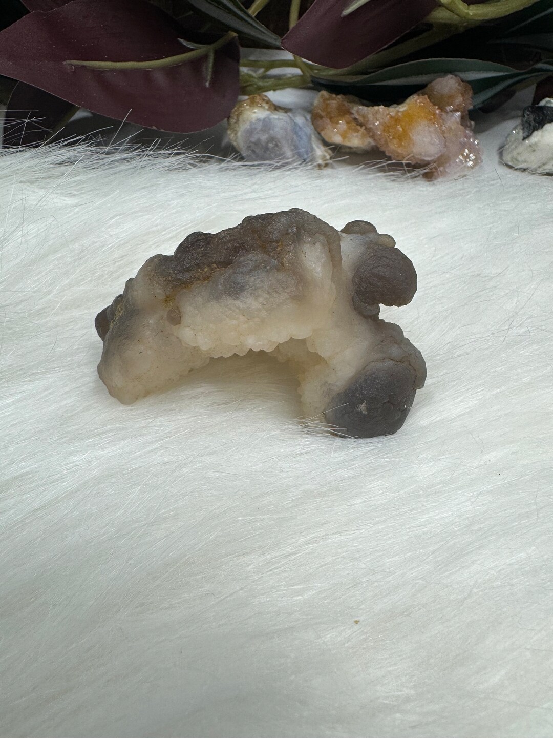 Witches Wart Stone, Unique Moroccan Chalcedony Cluster, Panda Agate ...