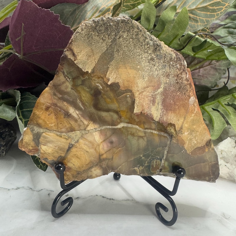 Petrified Wood Slab Stand - Etsy