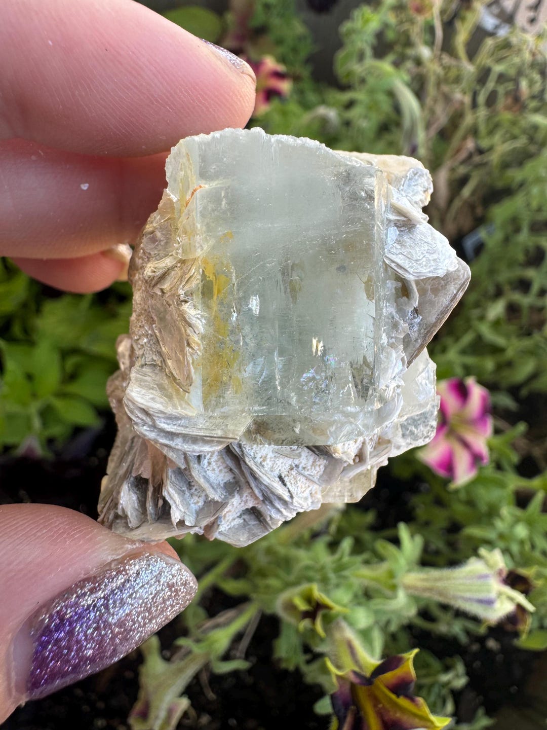Large Aquamarine and Heliodor Beryl With Mica Specimen From Nagar Mine ...