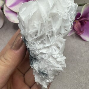 UV Reactive Rose Calcite Crystal Specimen: Angel Wing Calcite on Matrix ...