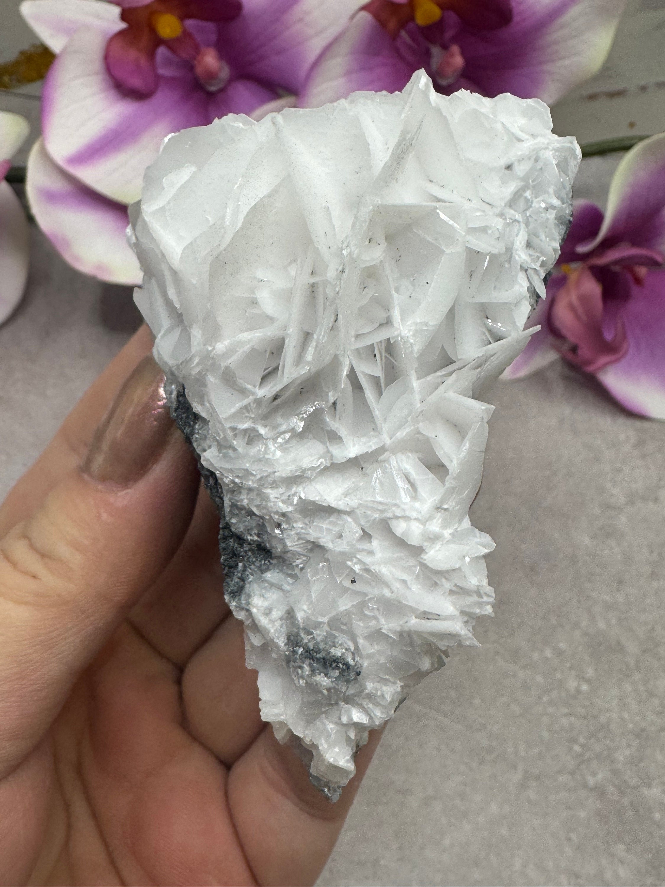 UV Reactive Rose Calcite Crystal Specimen: Angel Wing Calcite on Matrix ...