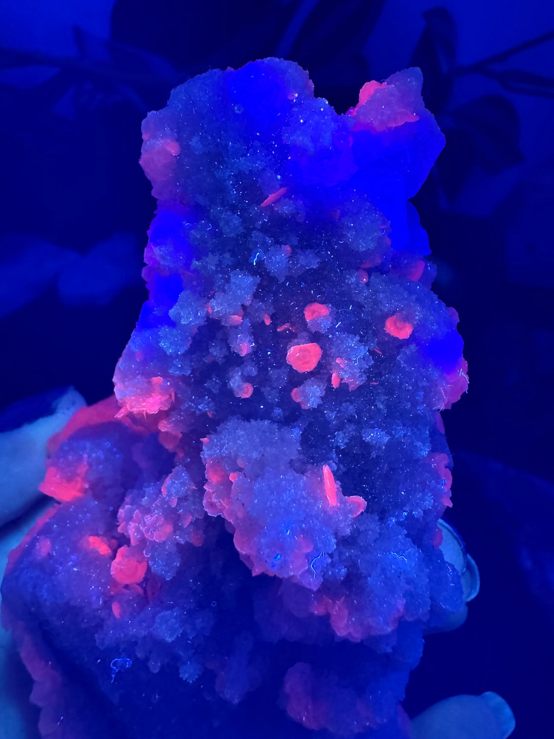 UV Reactive Coin Calcite Specimen: Fluorite and Quartz Crystal - Etsy