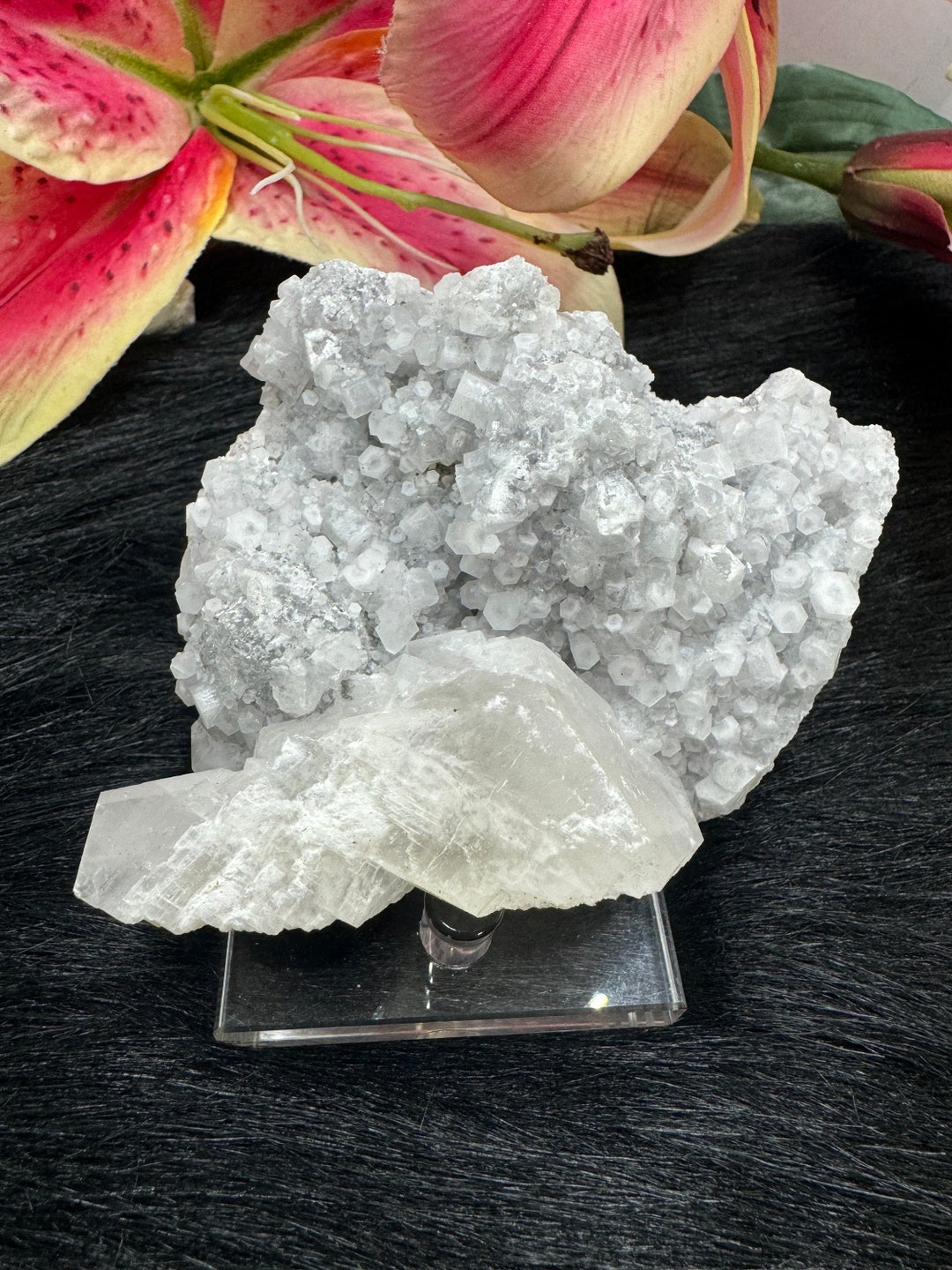UV Reactive Coin Calcite With Fluorite on Matrix, Gifts - Etsy