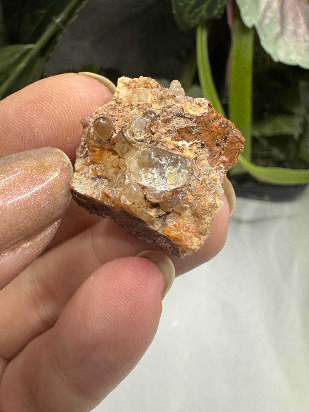 Hyalite Opal on Matrix Specimen, Thumbnail Hyalite With Perky Box, UV ...