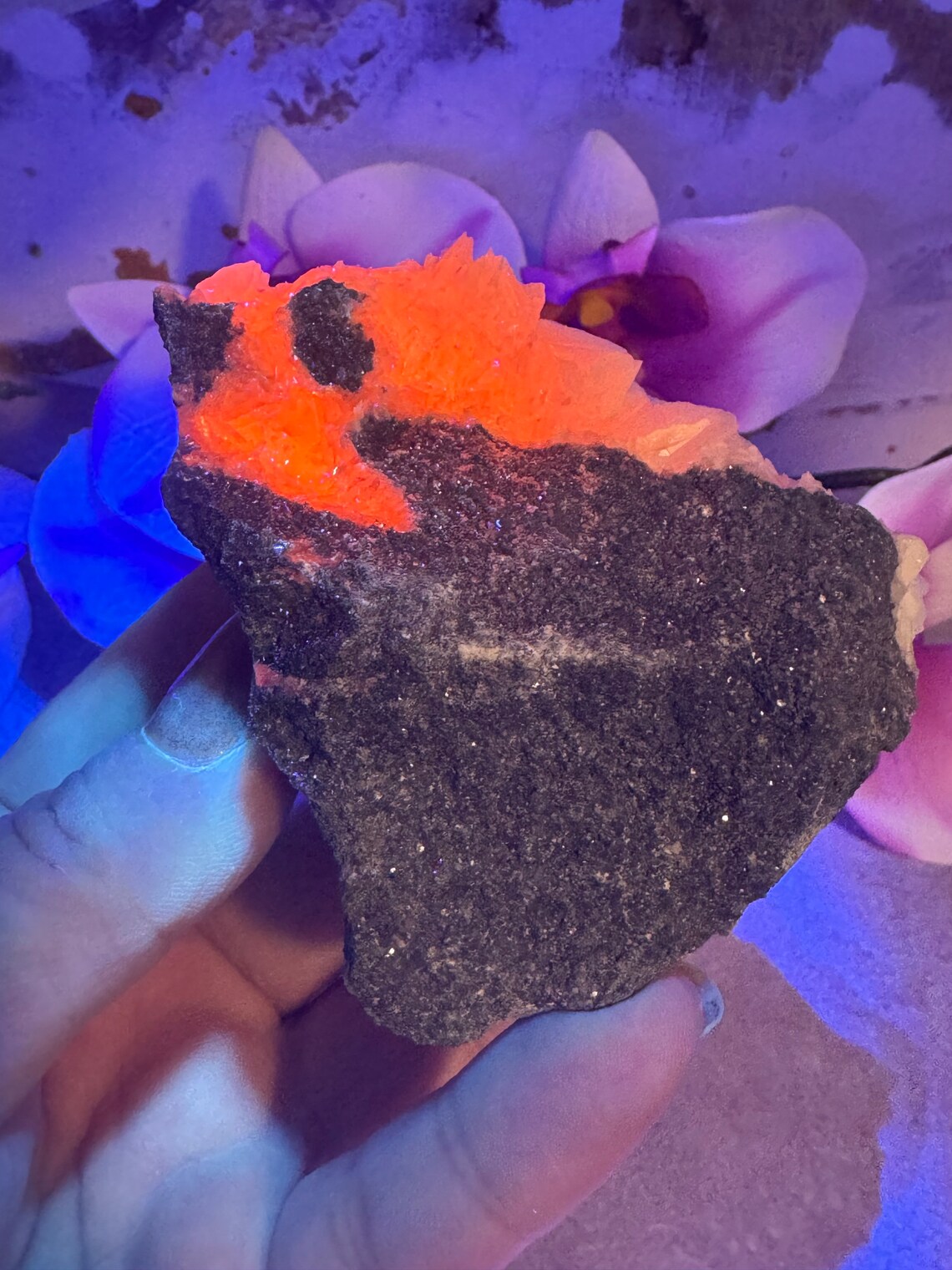 UV Reactive Rose Calcite Crystal Specimen: Angel Wing Calcite on Matrix ...