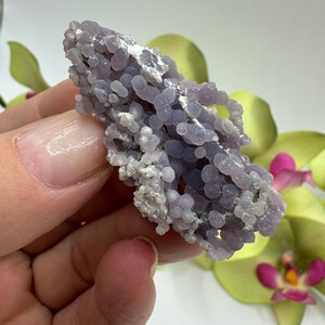 Grape Agate Specimen From Indonesia, Natural Raw Grape Agate Crystal Cluster, Indonesian Grape ...