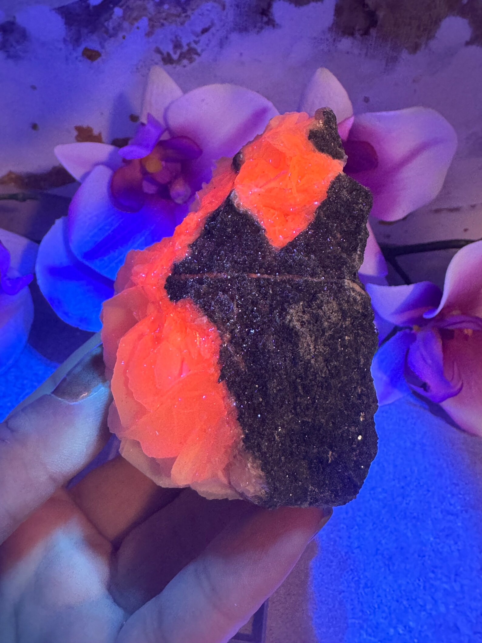 UV Reactive Rose Calcite Crystal Specimen: Angel Wing Calcite on Matrix ...